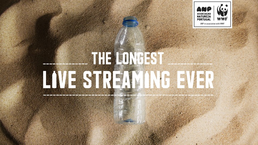 WWF apresenta o maior livestream da história - Acontecendo Aqui
