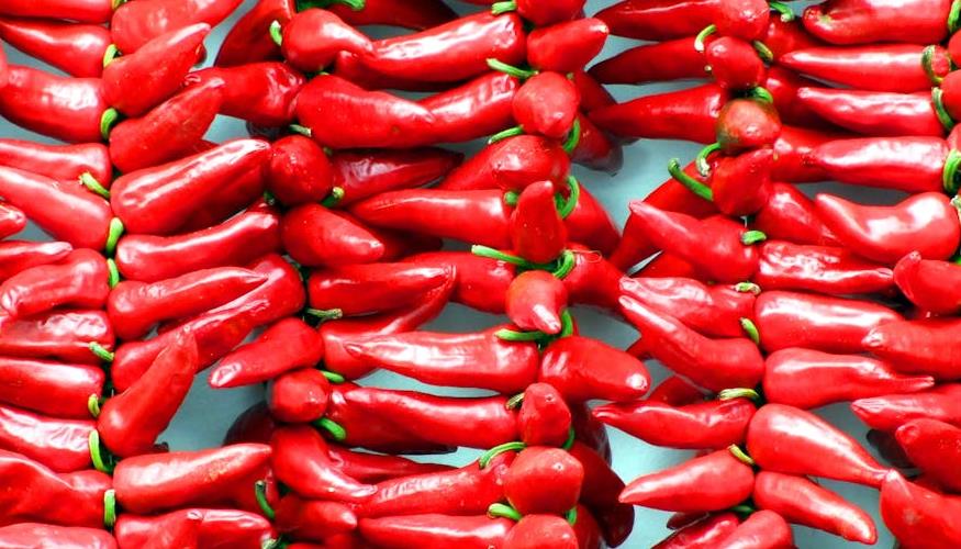 Sprite traz campanha global de novo sabor picante; ação terá diversas ...