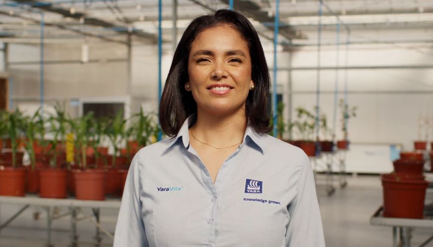Yara aposta em narrativa humana para celebrar 120 anos de atuação